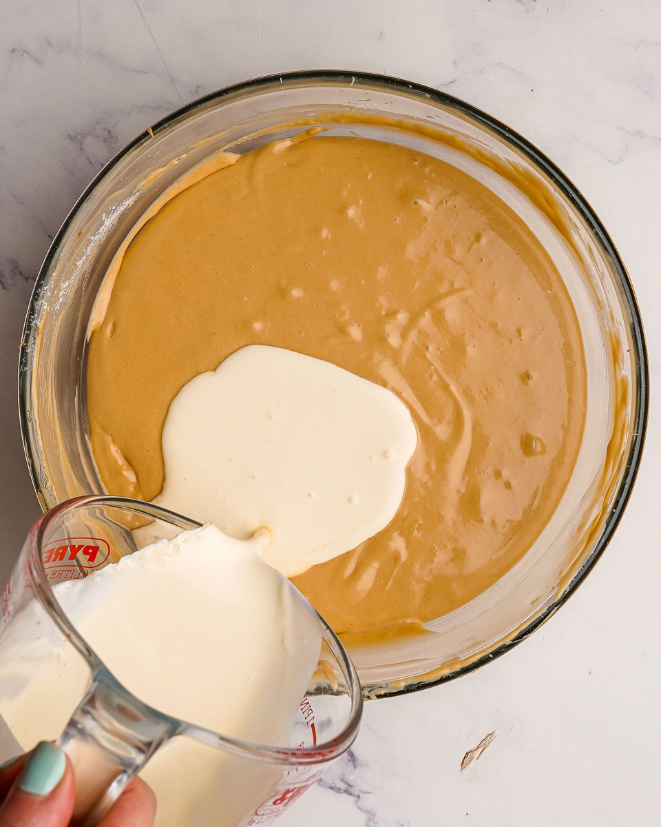 Easy 6-Ingredient Biscoff Basque Cheesecake - Ems Foodie Fix